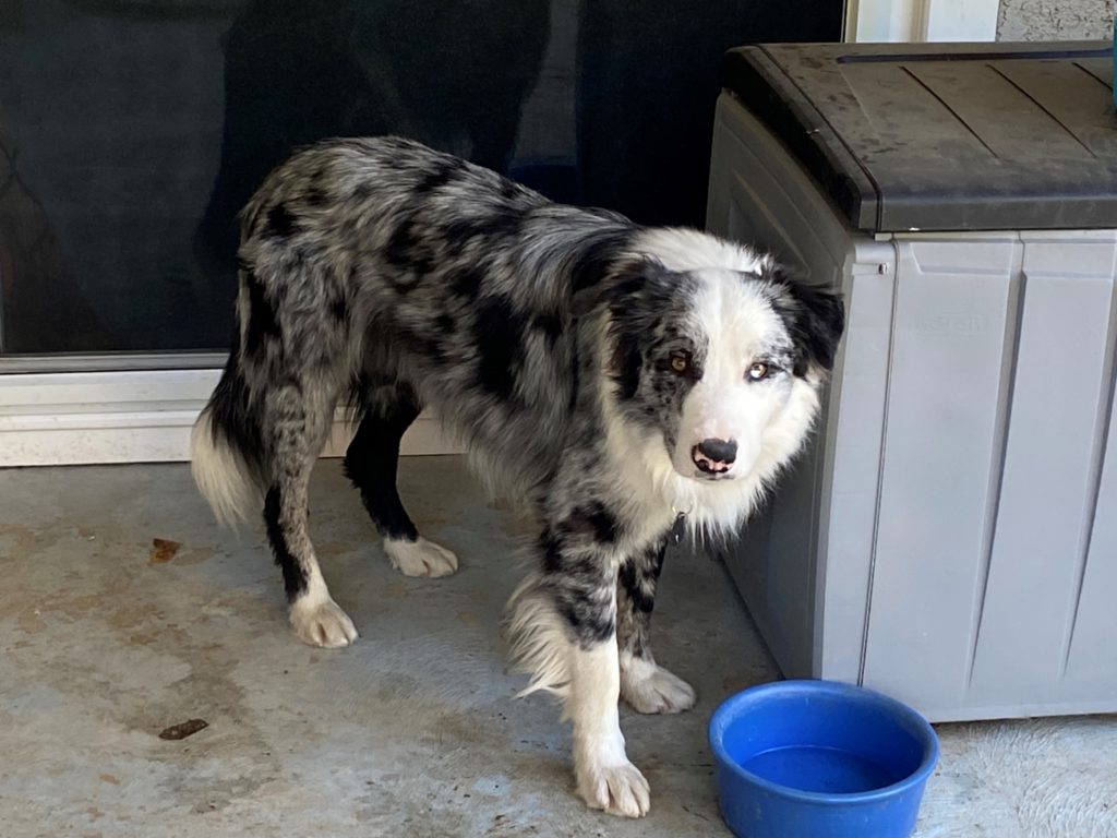 Available Through ARSC