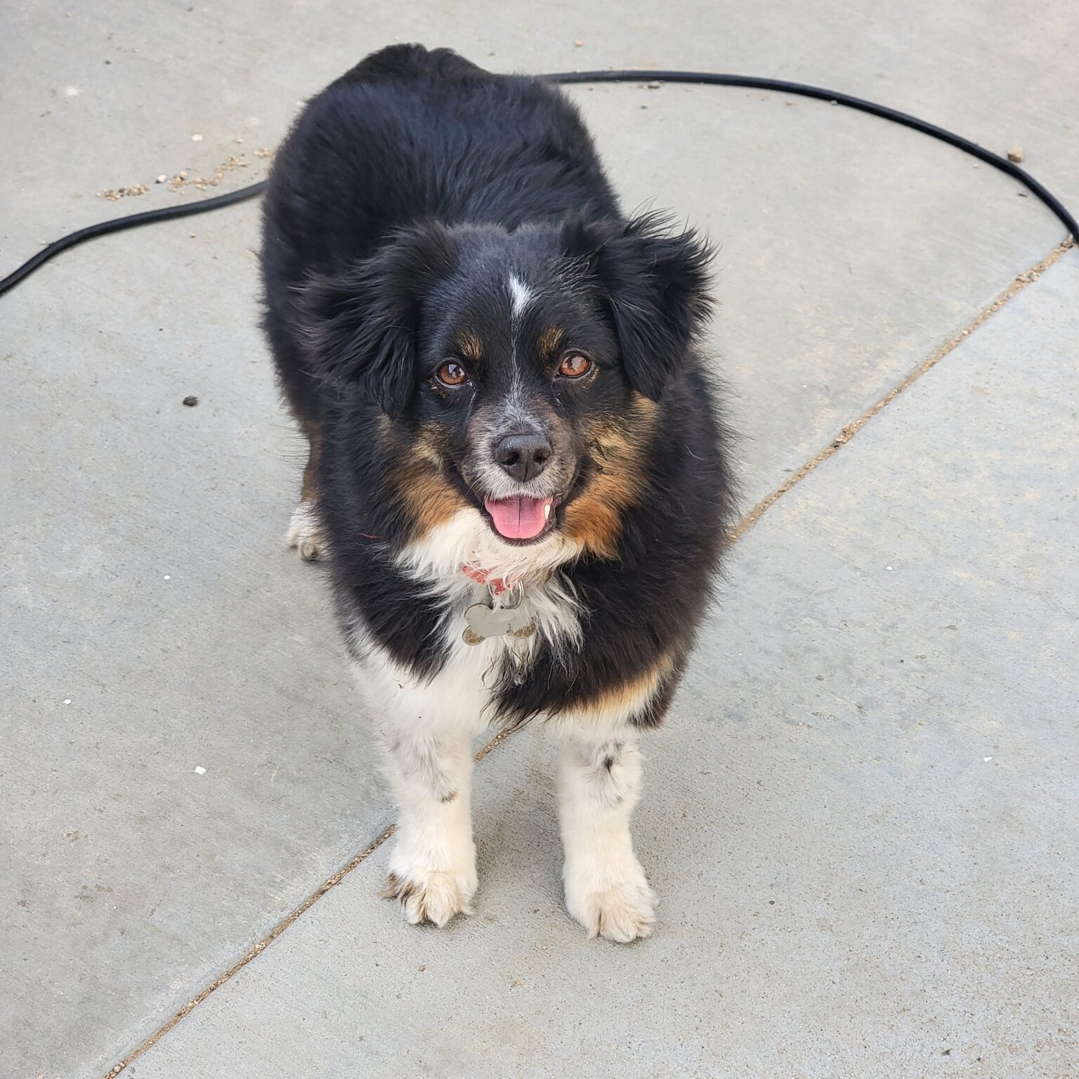 Available Through ARSC